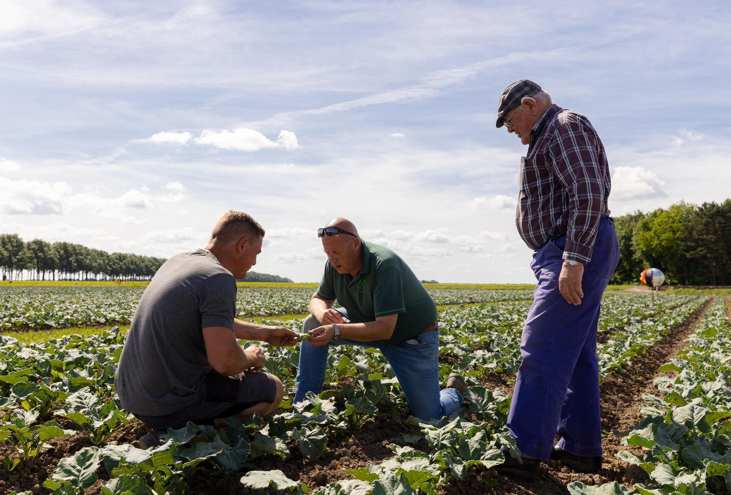 Retour d’expérience | Koppert Canada