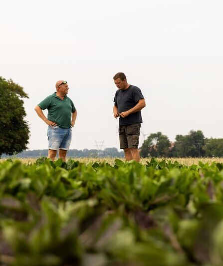 Biological Crop Protection - Overview