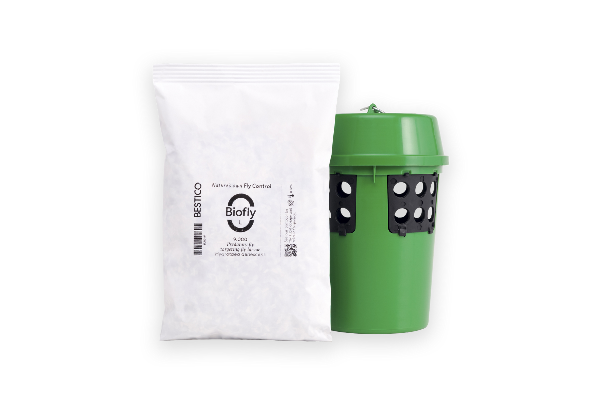 Biofly | Control House Flies | Predatory Flies (Hydrotaea aenescens)