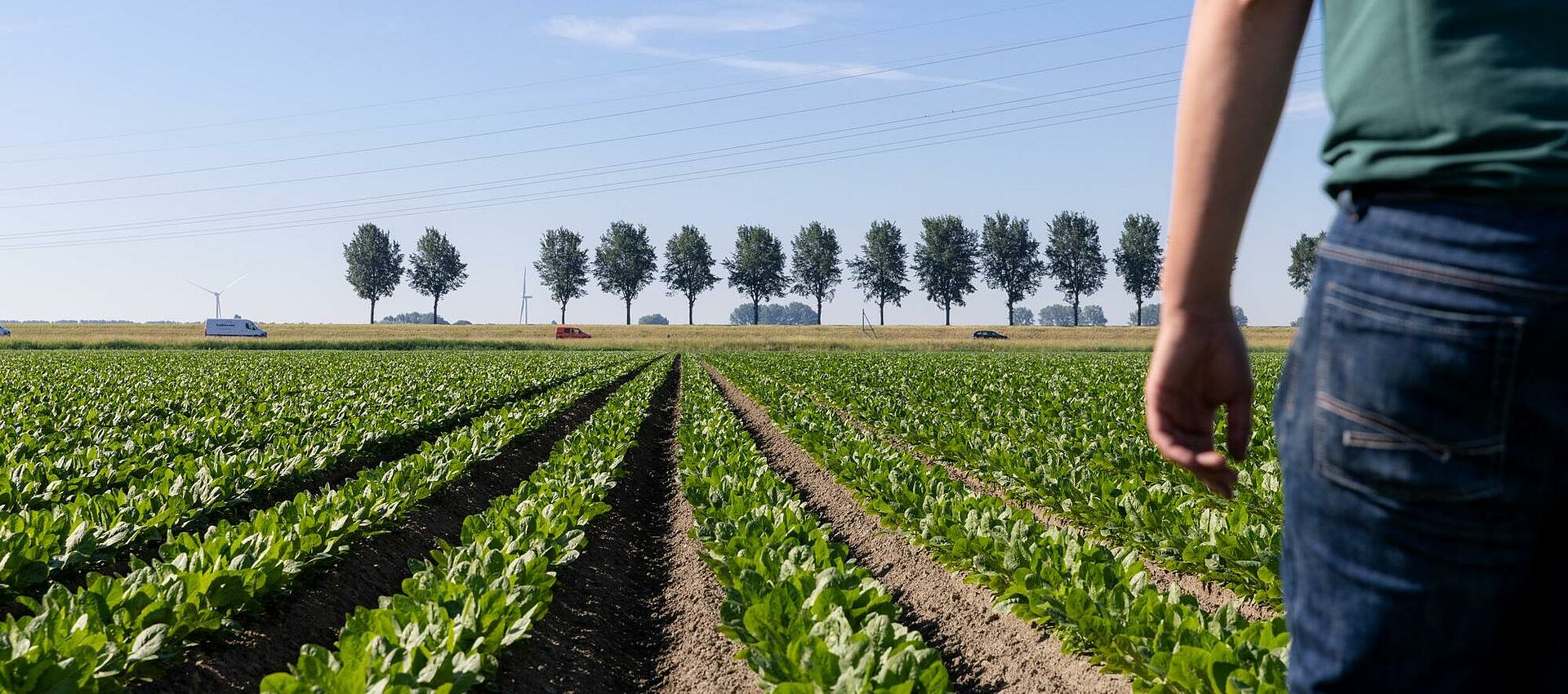 Grower Koen - Embracing biological crop protection in agriculture