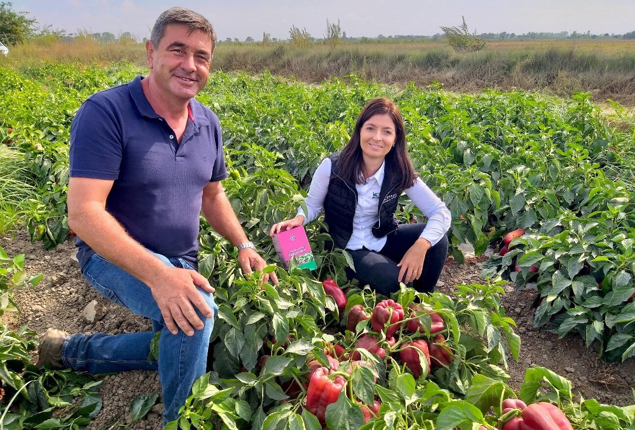 Sociedade Agrícola Militão: Increased Plant Health due to Trianum-P