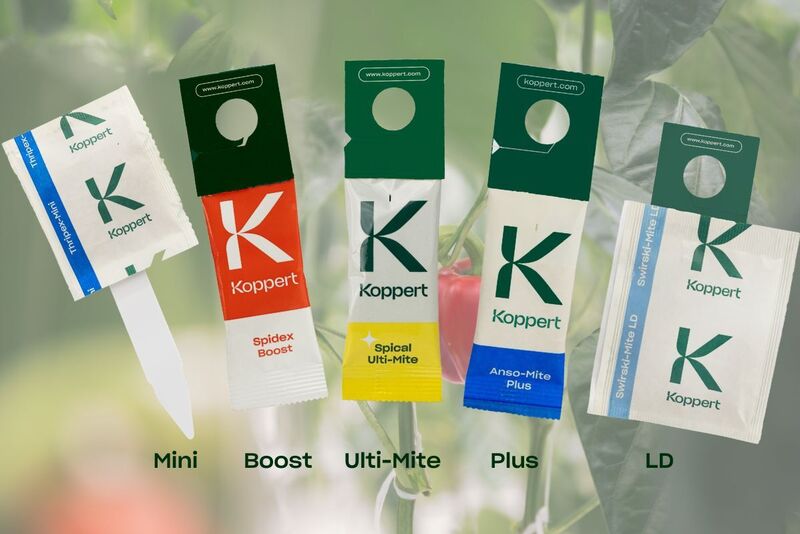Plus, Ulti-Mite or LD. Which Sachet is Best for You? | Koppert Canada