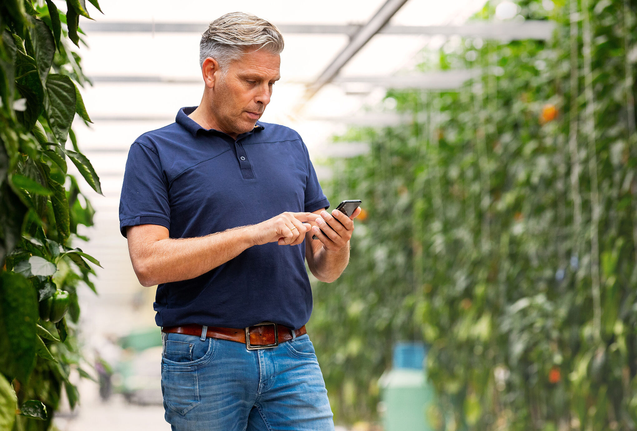 IPM app | Koppert Canada