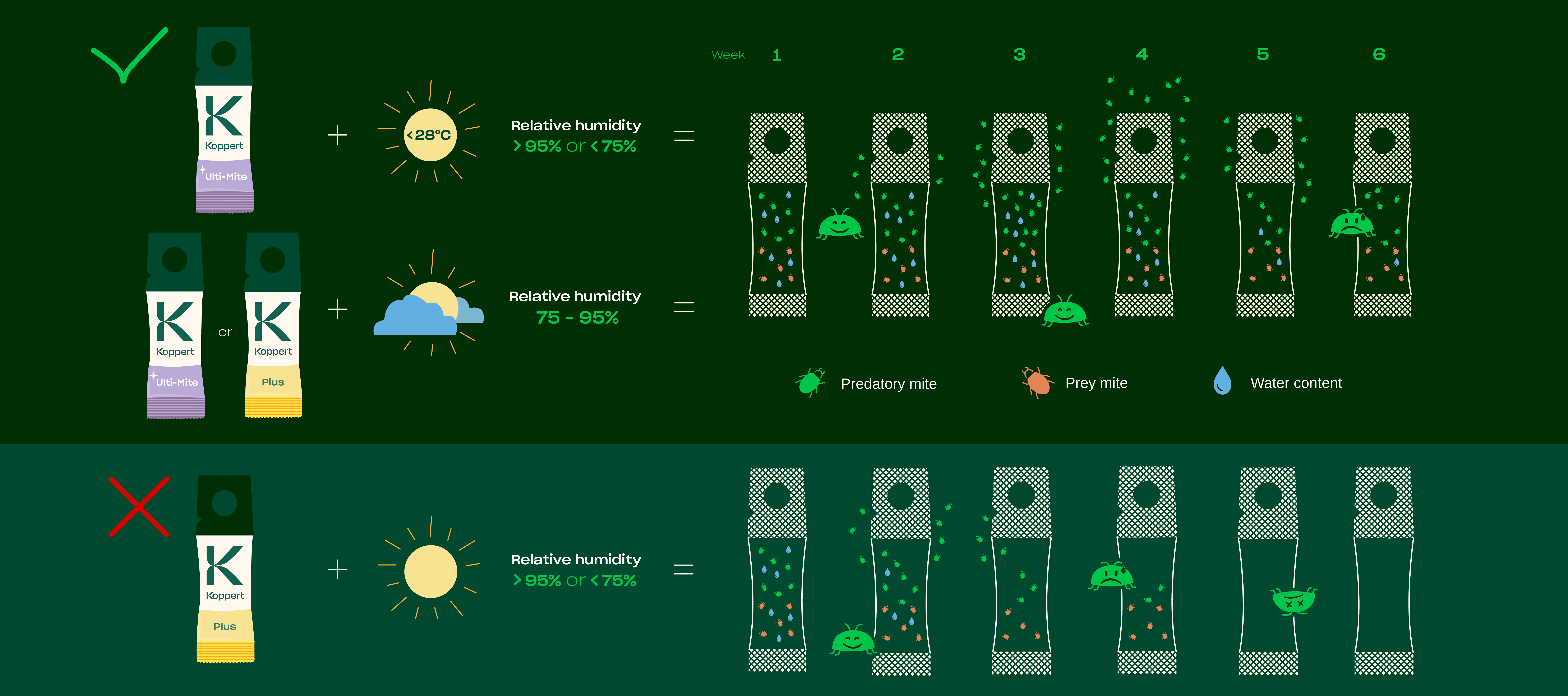 Ulti-Mite: Revolutionizing biocontrol with innovative predatory mite ...